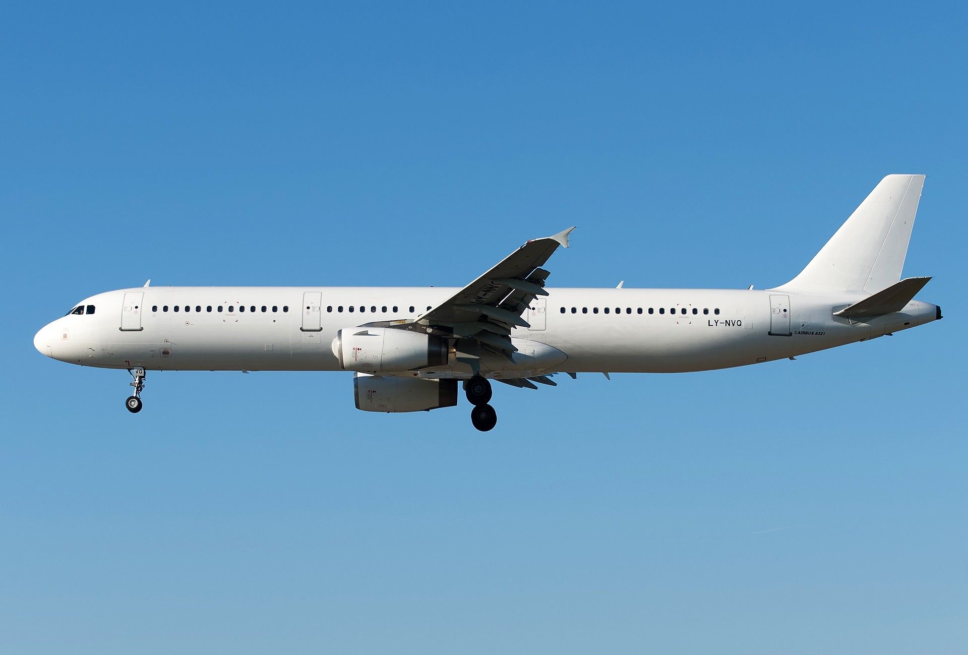 Avion Express reached record production results in 2019 | AviaSG
